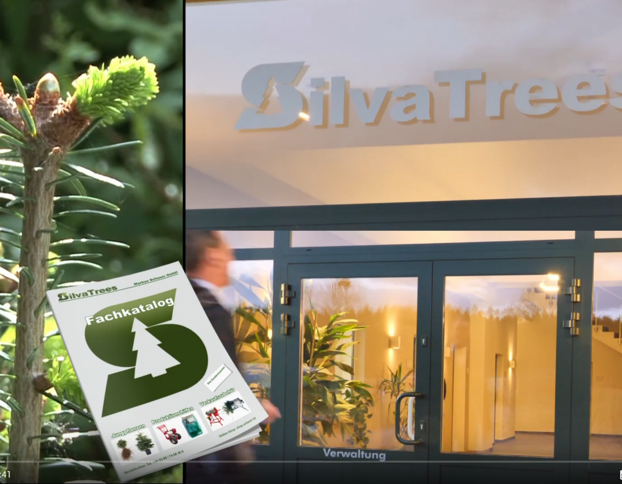 Home | SilvaTrees GmbH